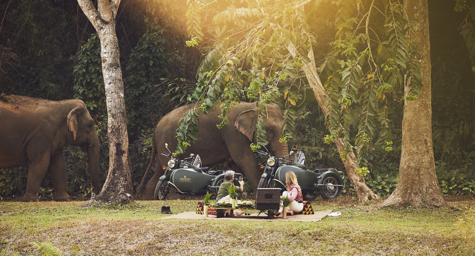 Anantara Golden Triangle Elephant Camp & Resort 5*, Чианграй, Тайланд ...